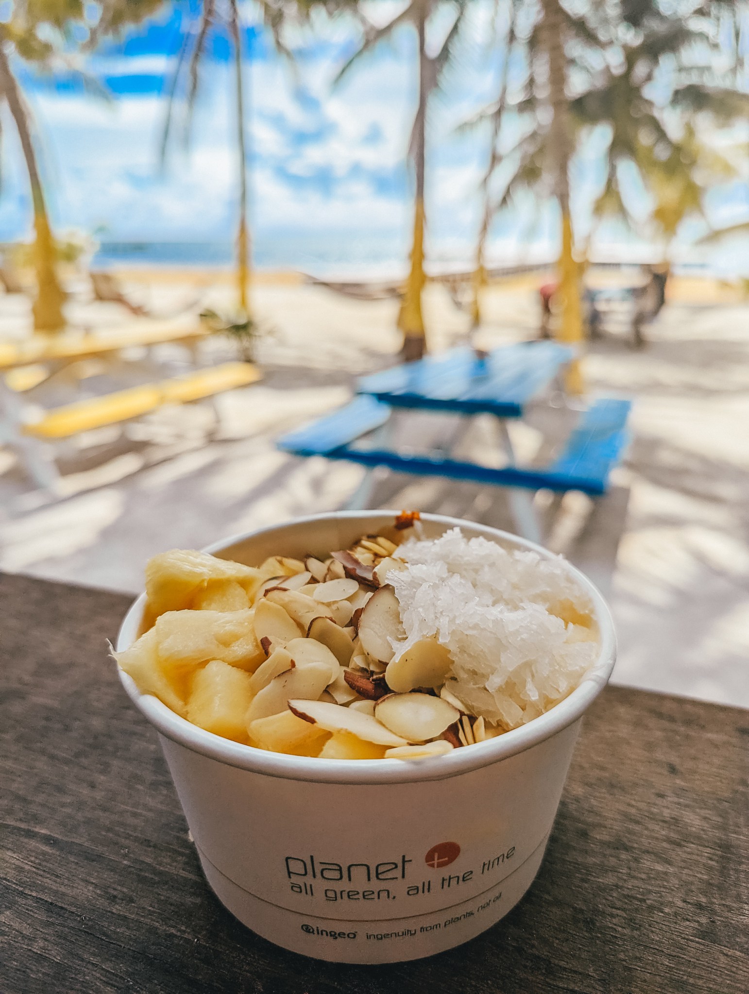 The Ultimate Guide to Caye Caulker, Belize – CHASE THE RAINBOWS