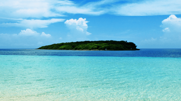 The Ultimate Guide To Vieques, Puerto Rico – CHASE THE RAINBOWS
